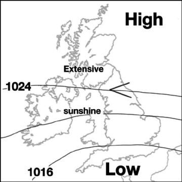 Synoptic Charts